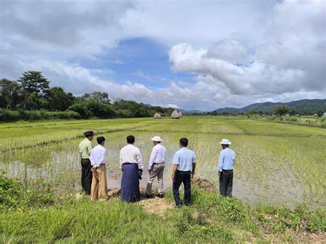 မိုင်းပန်မြို့နယ်၌ လယ်ယာမြေ ရေကြီးနစ်မြုပ်မှုများအား သက်ဆိုင်ရာတာဝန်ရ