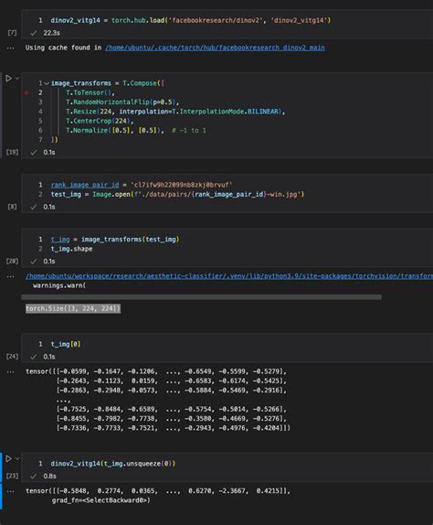 Is This The Right Way To Do Inference Issue Facebookresearch Dinov GitHub