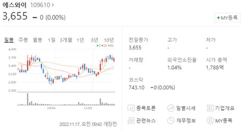 에스와이 주가 전망시간외 상한가 네옴시티