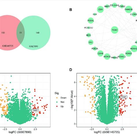 Illustration Of The Identification Of The Hub Gene In Keloid A