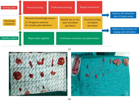 Figure 1 From Detection Rate And Prognosis Of Lymph Nodes In Gastric