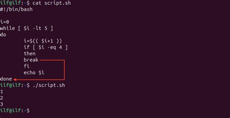 Introduction To Bash While Loop With Examples Its Linux Foss