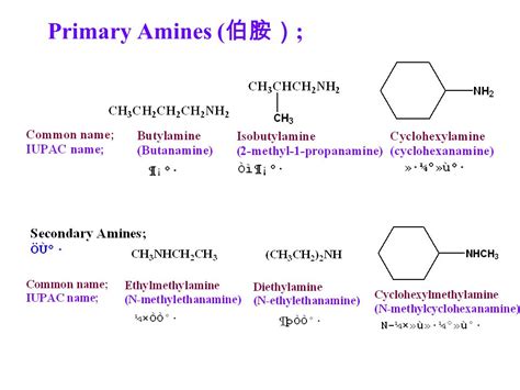 Chapter 19 Amines 胺） 191 Nomenclature Ppt Video Online Download