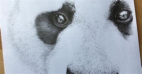 “furry Fenz” Album On Imgur