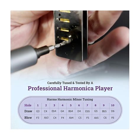 Harmo Polar Harmonic Minor Tuning Harmonica 12 Key Set