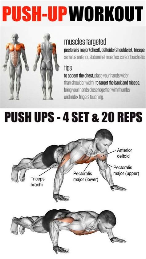 How to Get Bigger Arms With Push Ups - Fitness and Power | Push up workout, Chest workout for ...