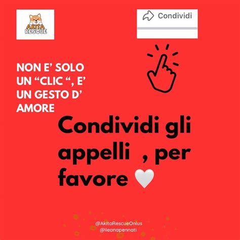 Buongiorno Amici ️ Iniziamo La Akita Rescue Onlus Facebook