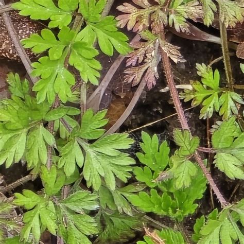 이름을 알려주세요