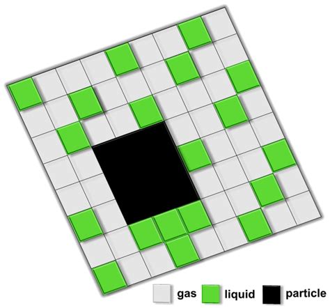 Schematic Picture Of The Two Dimensional Lattice Gas Model Used The