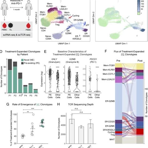 scrna seq of patient pbmcs and tils captures various circulating and