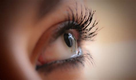 In The Blink Of An Eye Asian Scientist Magazine