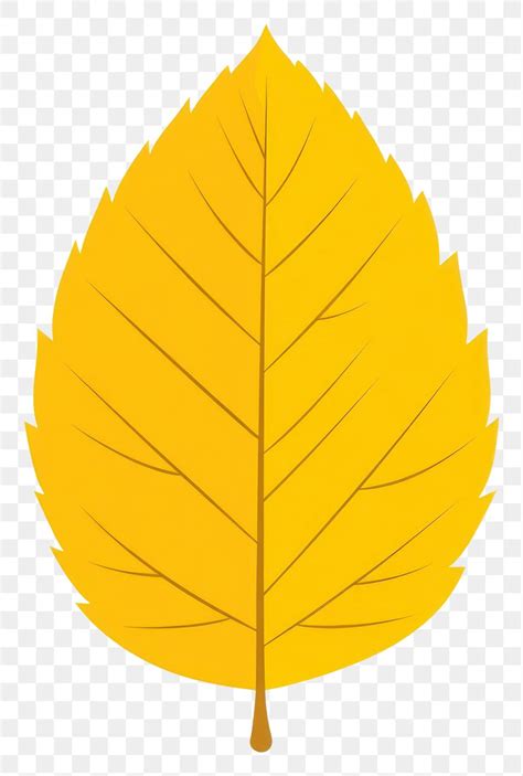Png Yellow Reniform Leaf Illustration Free Png Rawpixel
