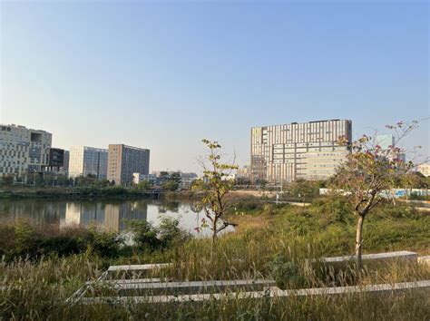 尖岗湖公园碧道 深圳市水务局