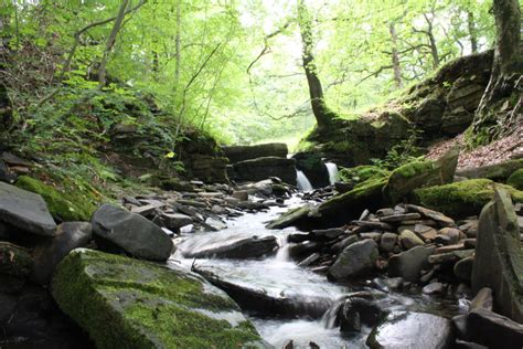 Babbling Stream By Spinalhawk On Deviantart