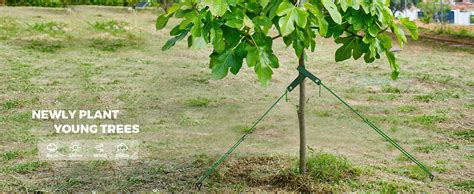 Kingsyard Tree Stakes And Supports For Leaning Trees 3