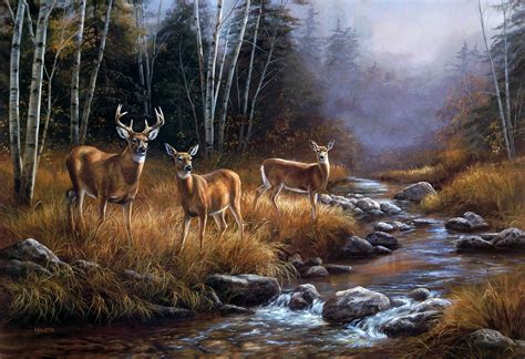 Deer Fall Backgrounds For Desktop