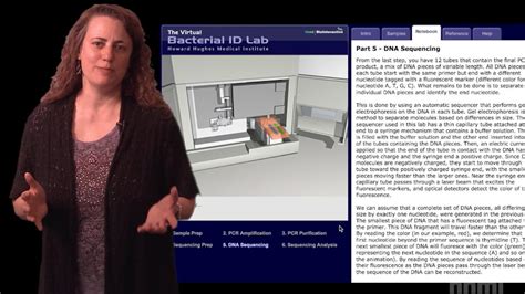 Bacterial Identification Virtual Lab