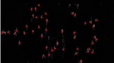 determine the traveling direction of pedestrians download scientific