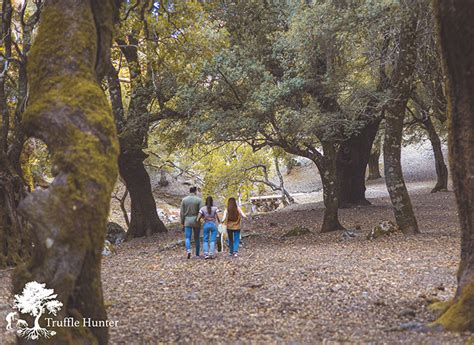 Truffle Hunting Day In Crete Greece