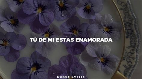 Así Es La Vida Flor Morada A Veces Suele Ser Malvada Bugambilia