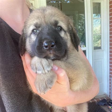 Holly Anne Hollya730 On Threads