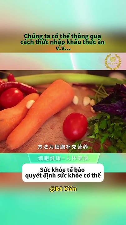 细胞健康决定人体健康sức Khỏe Tế Bào Quyết định Sức Khỏe Con Người Youtube