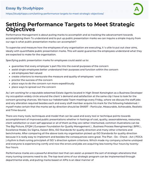 Setting Performance Targets To Meet Strategic Objectives Essay Example