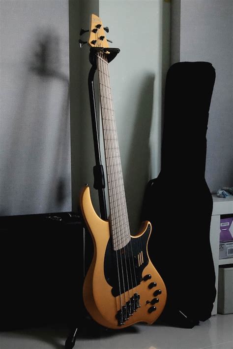 Dingwall Ng3 5 String Bass Hobbies And Toys Music And Media Musical Instruments On Carousell