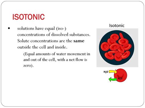 Solutions Biology Ppt Download