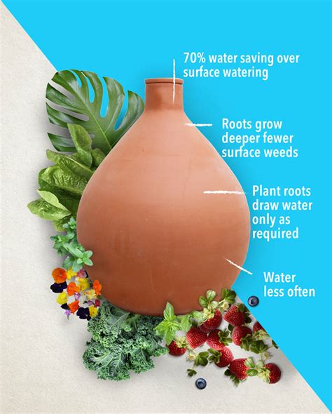 Olla Waterpots Sustainable Self Watering System 5 Star Reviews Up