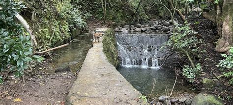 Lulumahu Falls Trail Oahu Hawaii 2 754 Reviews Map Alltrails