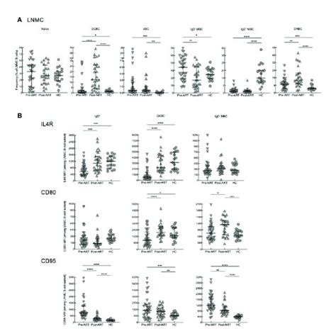 B Cell Subset Phenotyping And Surface Marker Expression In Ln A