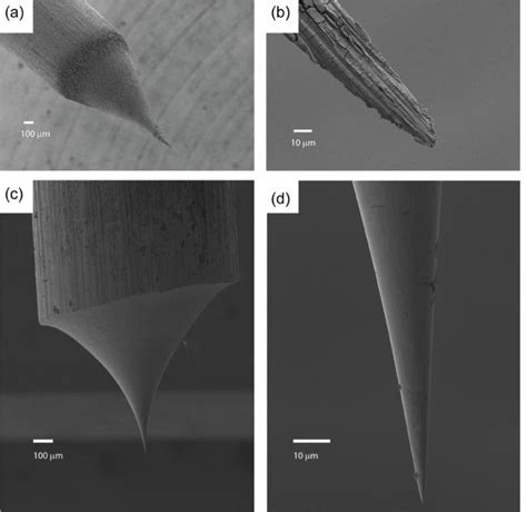 Shows Relative Effect Of Etching With NaOH And KOH A B Shows Download Scientific Diagram