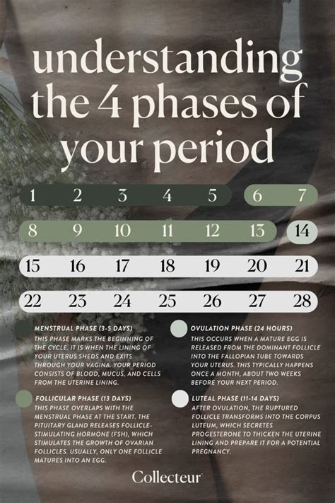 Understanding Your Menstrual Cycle Is Empowering Period Phases