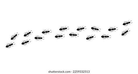 Ant Chain Small Pest Trail Black Stock Vector Royalty Free 2259332513
