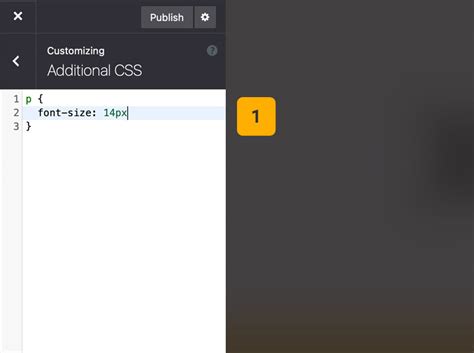 Theme Options Additional Css Xtra Tutorials