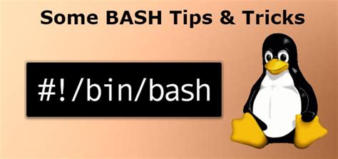 Important Bash Tips Tricks For Beginners Linuxtechlab