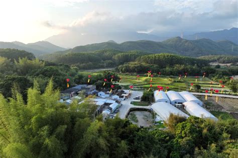 百千万工程 现摘现做 下北村正合宴 开席”深汕网