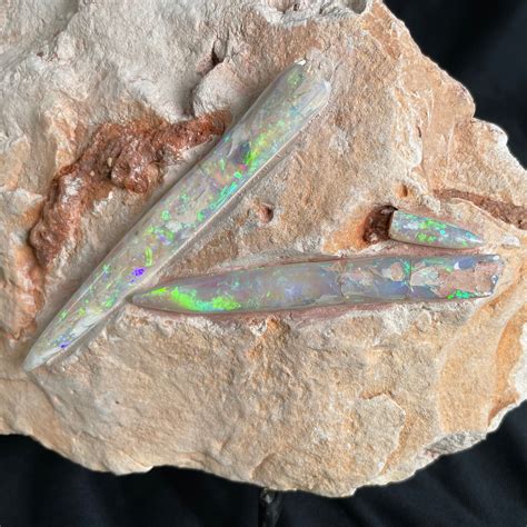 Opal Belemnite Fossils In Matrix Lower Cretaceous Australia Gob005