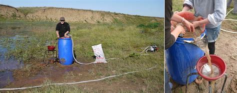 Archaeobotanical Sample Flotation At The Botai Site In Total 2006 L
