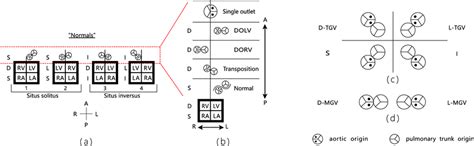 Illustration Of Clinical Evaluation In The Standard Of Van Praagh