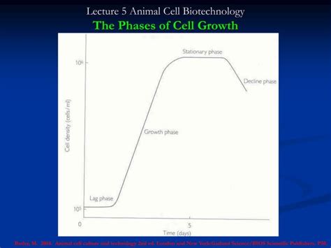 Lecture 5 Cell Growth Phases Ppt