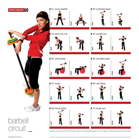 15 Best Functional Fitness Images On Pinterest Work Outs Exercise