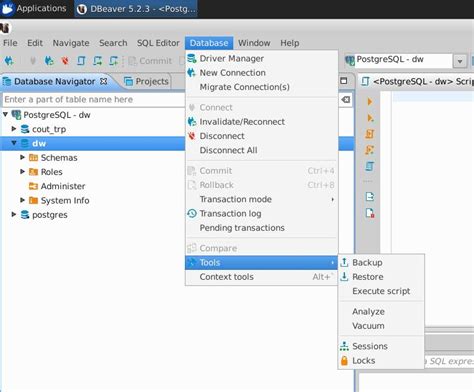 No More Access To The Sessions And Locks Functions On My Postgresql