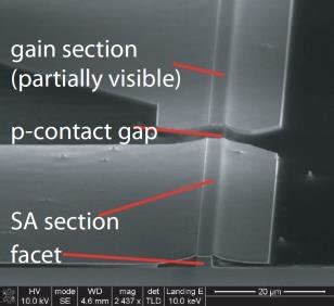 Schematic Diagram Left And SEM Image Right Of The Devices Download Scientific Diagram