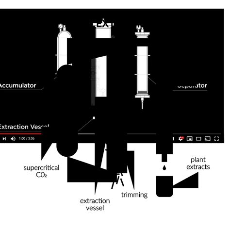 Cbd Extraction Methods Pros Cons And Temperature Control Tips