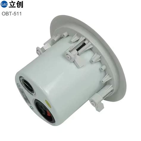 Ceiling Speaker High Quality In Ceiling Speaker With 65 Inch Woofer