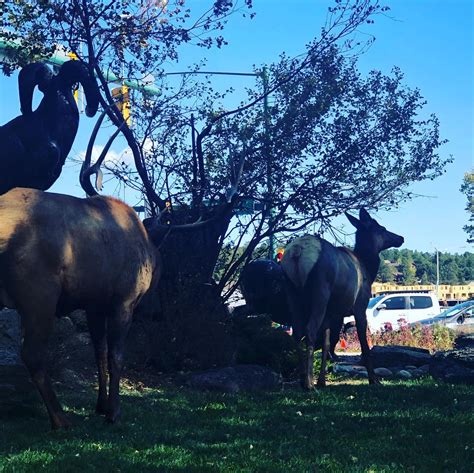 Debbie Scheer Speaks Added A New Photo Debbie Scheer Speaks