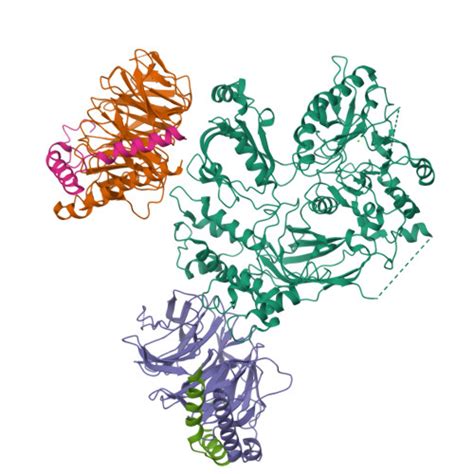 Rcsb Pdb 8emx Phospholipase C Beta 3 Plcb3 In Complex With Gbg On Lipid Nanodiscs