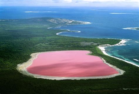 Pink Lake Hillier Australia